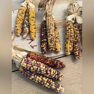 Holiday | Decorative Indian Corn | Poshmark